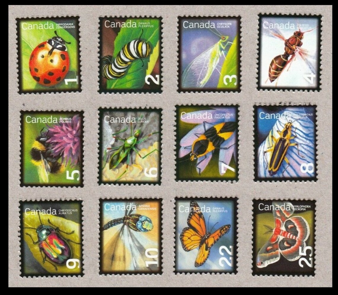Beneficial Insects on Canada Postage Stamp Series / Paper | Etsy