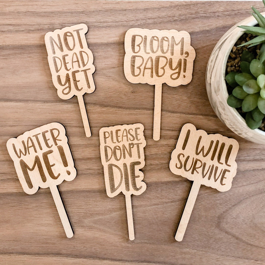Plant Lady Wood Funny Plant Markers - Houseplant Birch Markers - Etsy