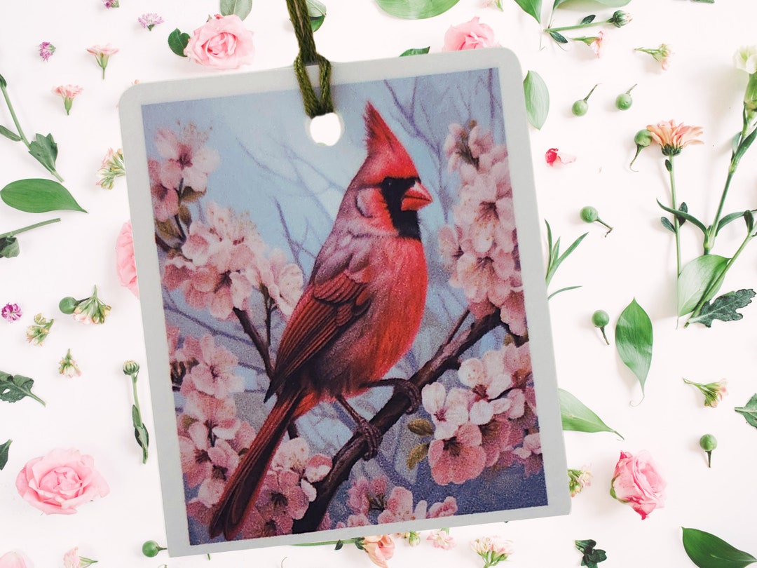 Birthday Gift Tags for Gifts, Birthday Tag, Printed Gift Tags With ...