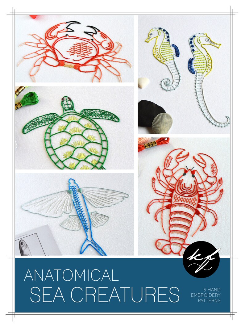 Anatomical Sea Creatures Embroidery Pattern Bundle. 5 Realistic Designs ...