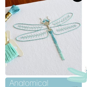 Anatomical Dragonfly hand embroidery pattern a modern | Etsy