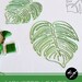 Monster Leaves Embroidery Pattern. A Delicious Monster, Monstera ...