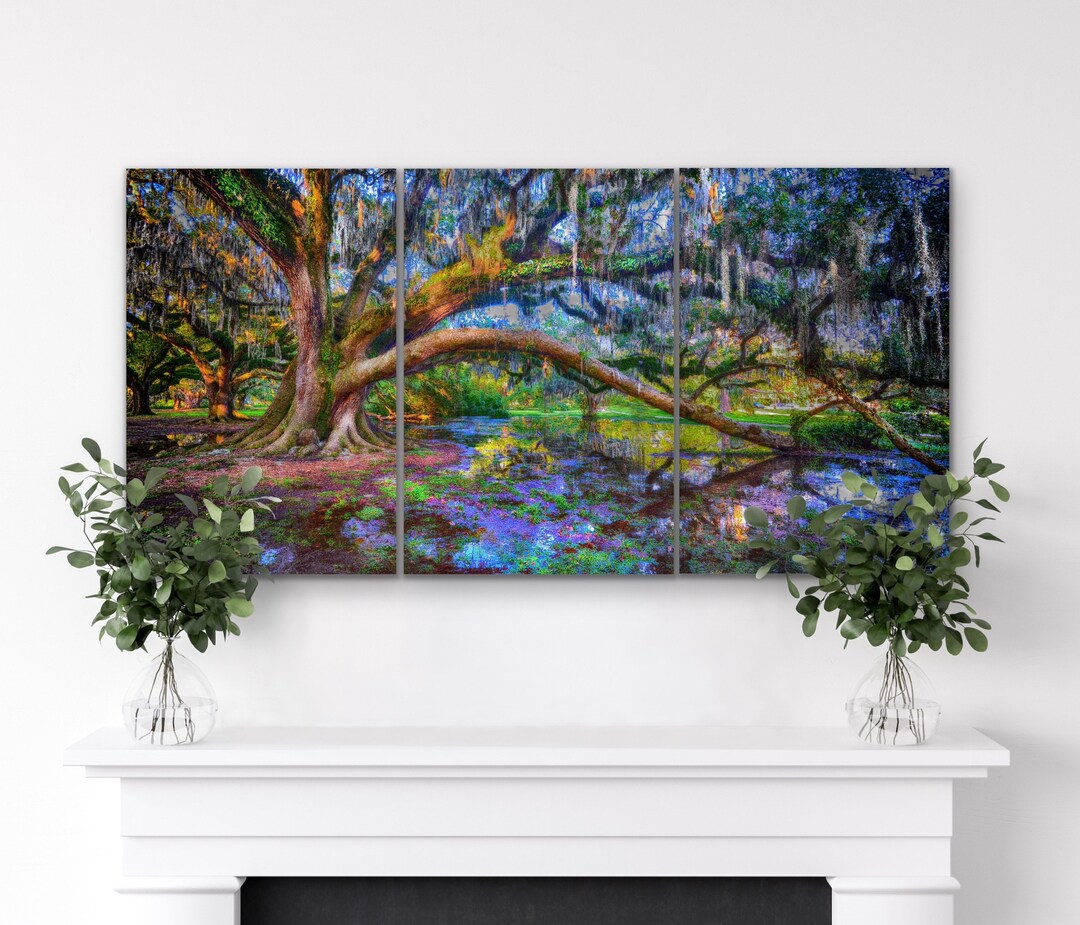 Triptych MOSS MAN GARDEN New Orleans Art Nola Artist Oak Trees Landscape Travel Photography ...