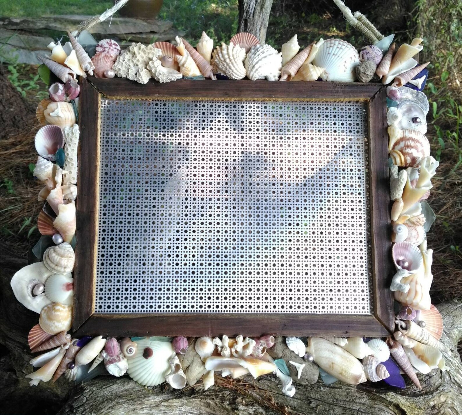 Seashell Jewelry Organizer - Etsy
