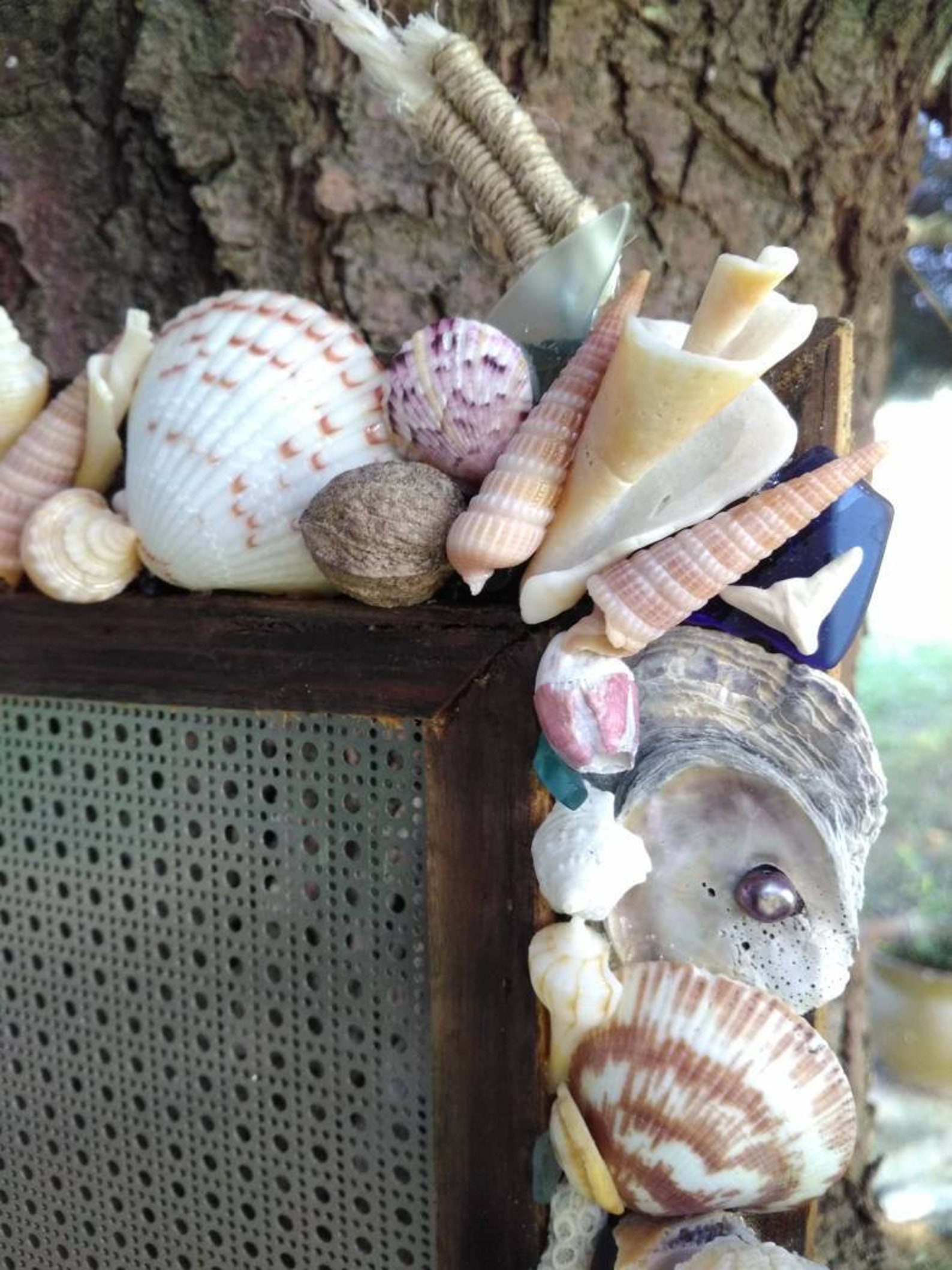 Seashell Jewelry Organizer - Etsy
