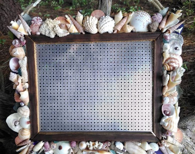 Seashell Jewelry Organizer - Etsy