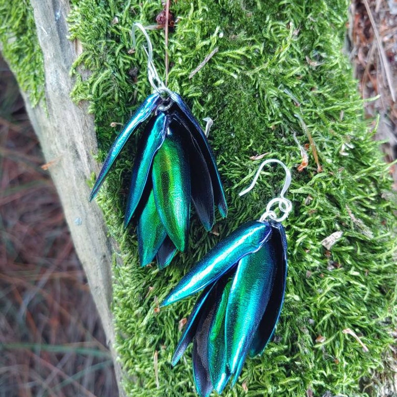 Jewel Beetle Wings - Etsy