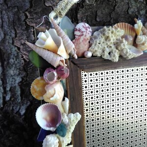 Seashell Jewelry Organizer - Etsy