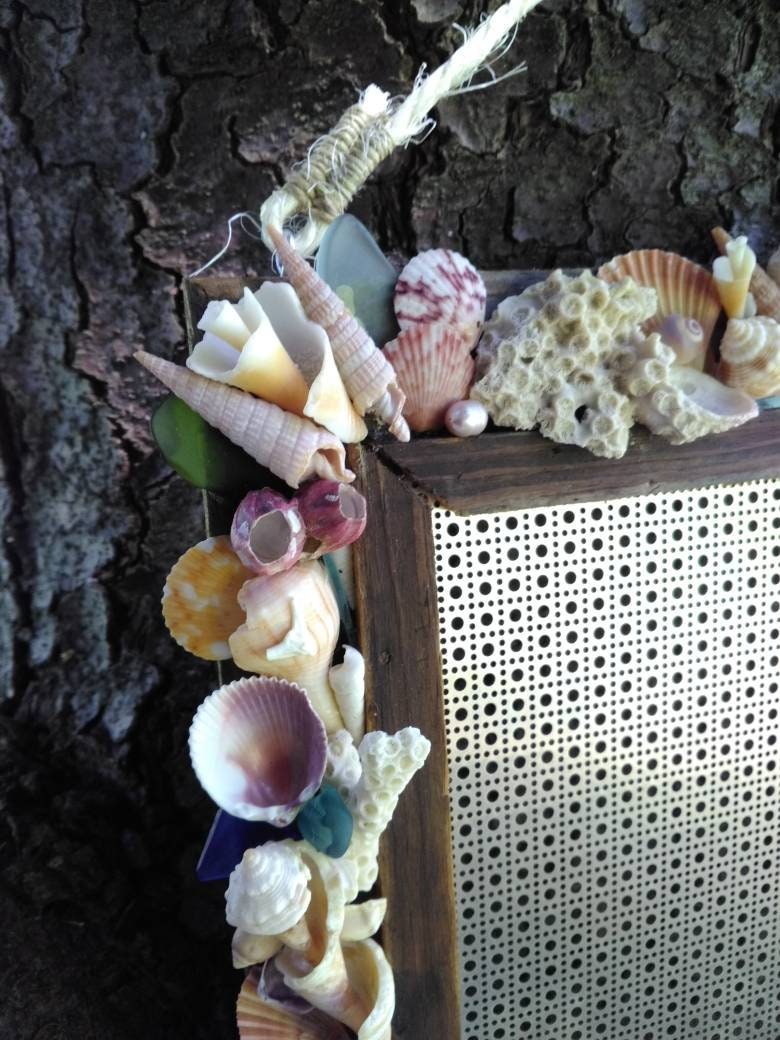 Seashell Jewelry Organizer - Etsy