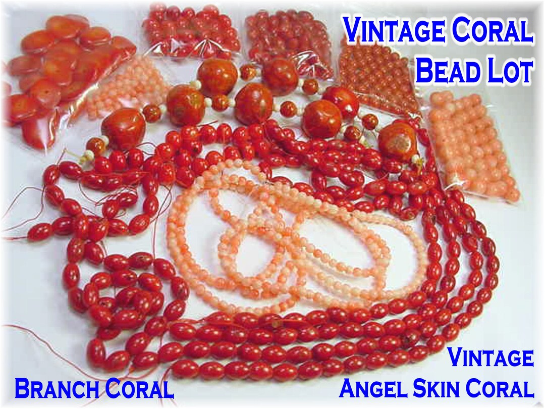 Vintage Angel Skin Coral Bead Lot, Red Coral, Branch Coral, Drum Shape ...