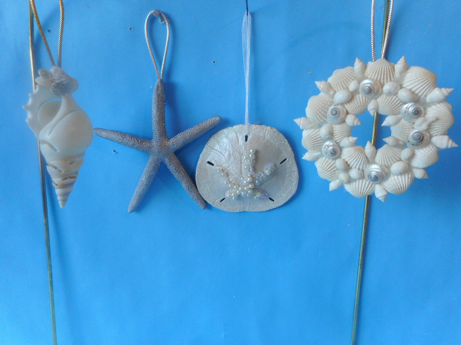 Seashell Ornaments Variety-more Choices - Etsy