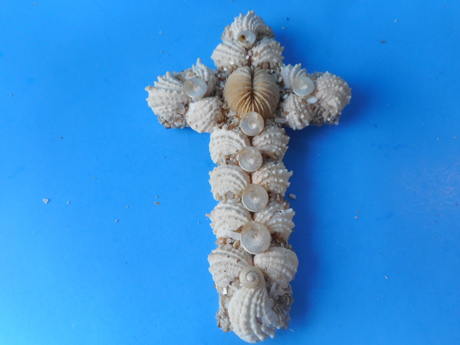 Seashell Beach Wall Cross-coastal Home Wall Decor | Etsy