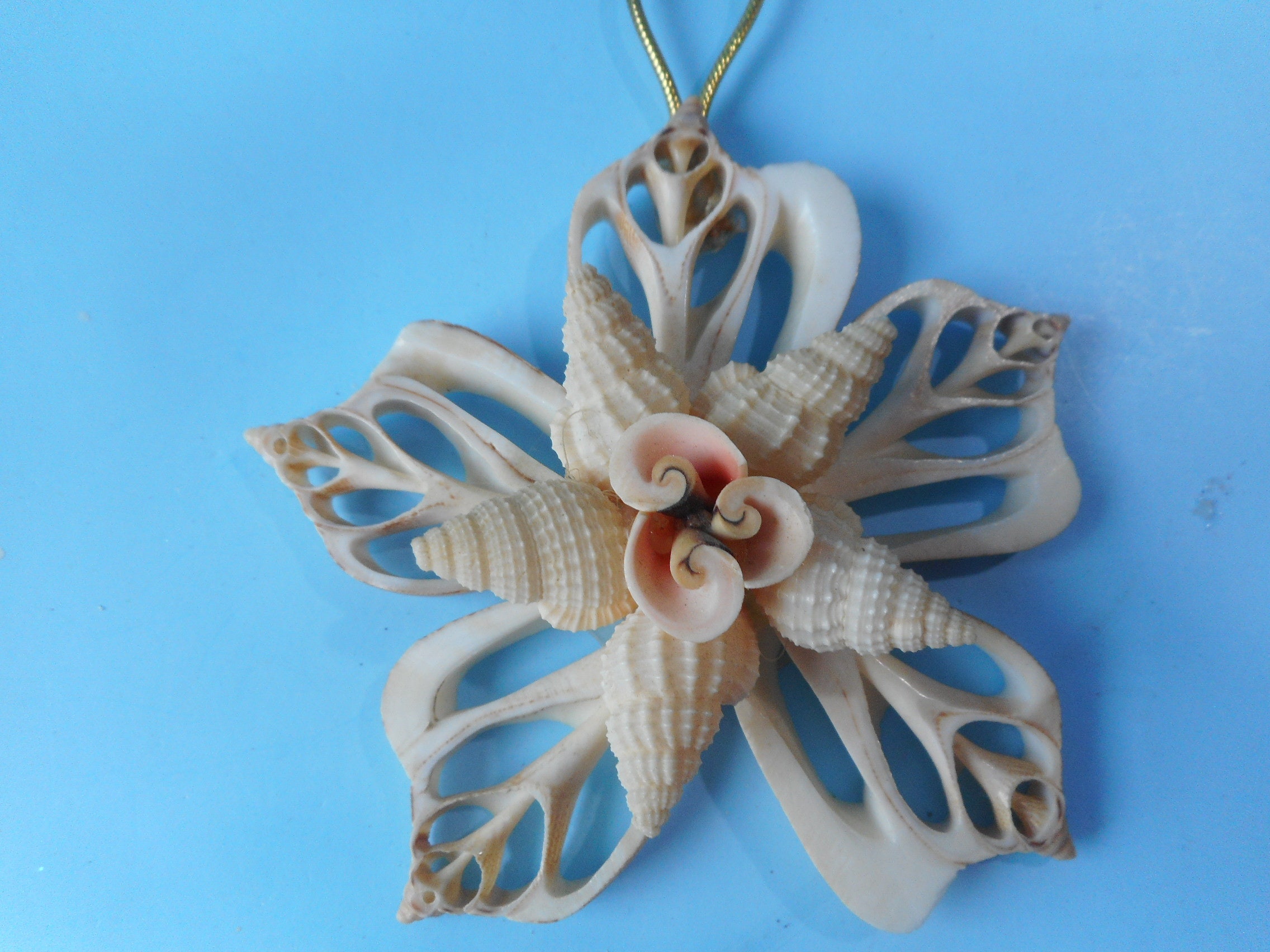 Coastal Sea Shell Ornament Beach Tree Ornament-Coastal | Etsy