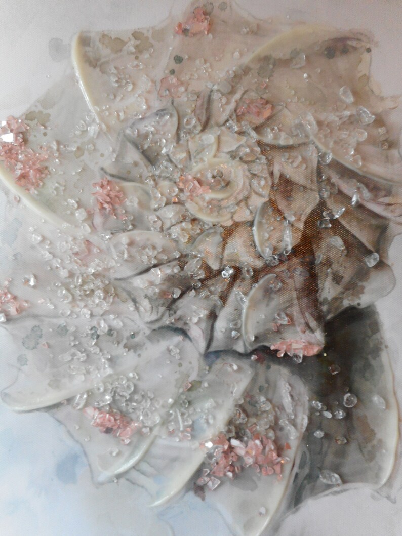 Seashell Beach Canvas Wall Art Coastal Nautical Beach Home - Etsy