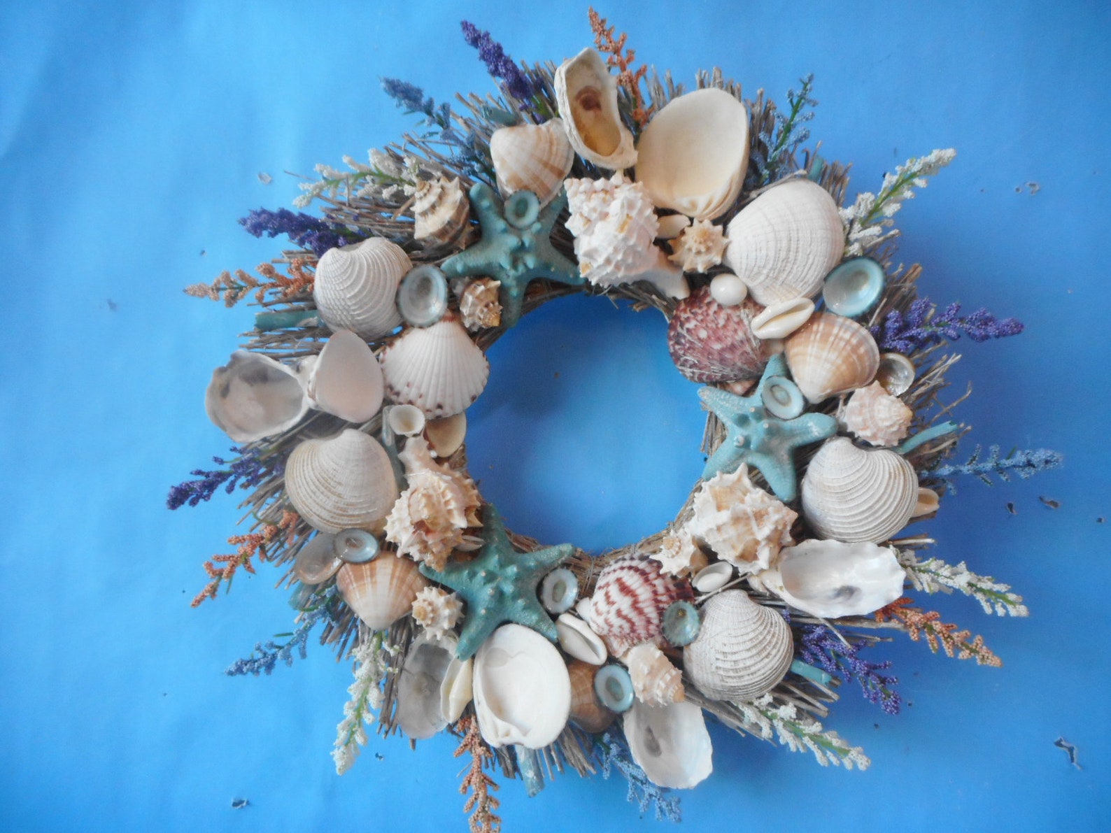 Seashell Wreath Summer Coastal Door Beach Wreathmore - Etsy