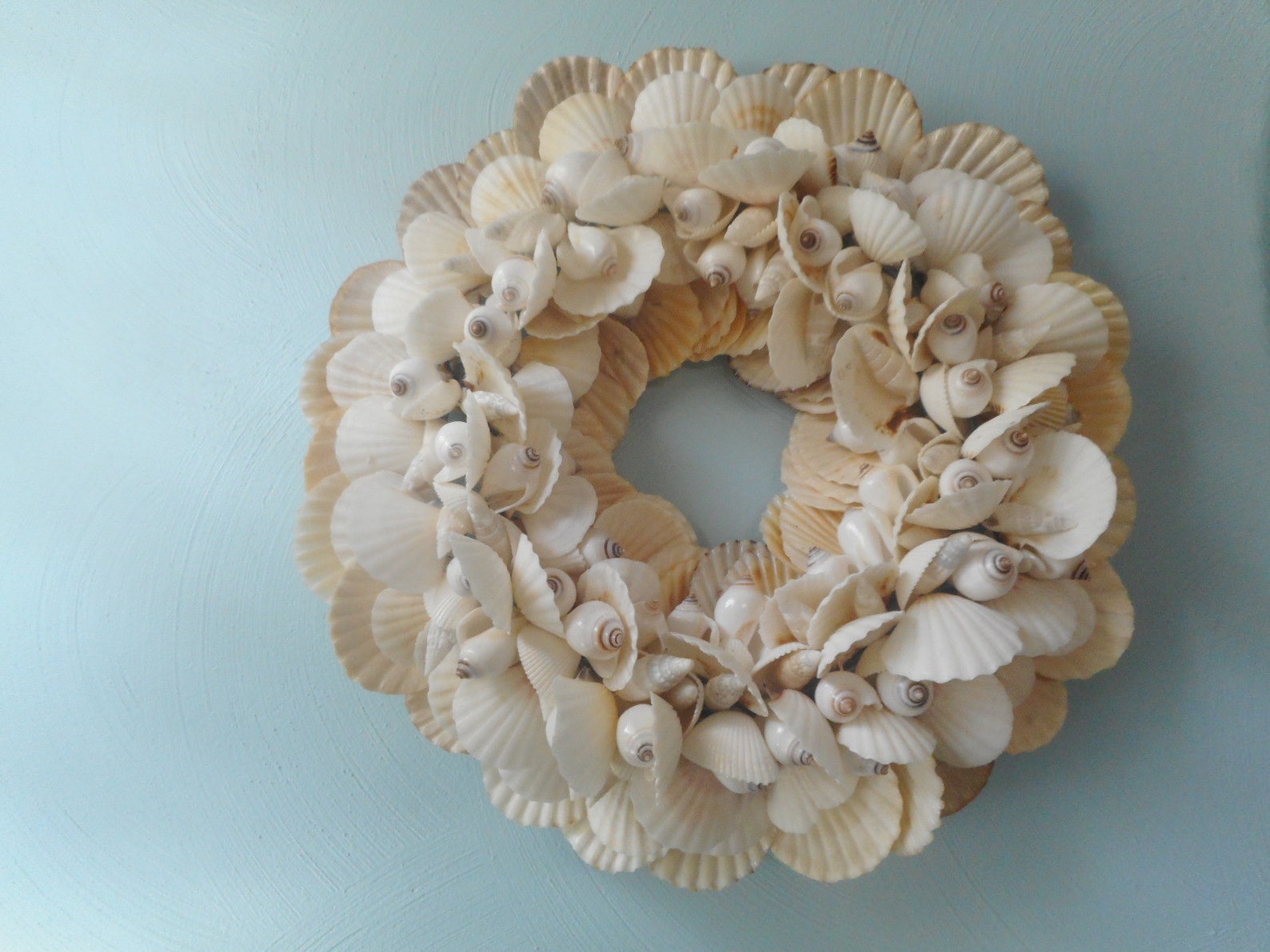Seashell Wreath Summer Coastal Door Beach Wreathmore - Etsy