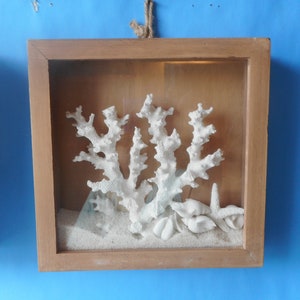 Coastal Seashell Shadow Boxes-beach Framed Wall Art-nautical Home Decor ...