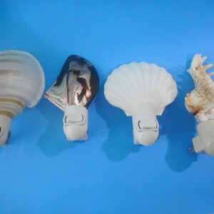 Sea Shell Night Lights-coastal Beach Lighting-seashell Art - Etsy