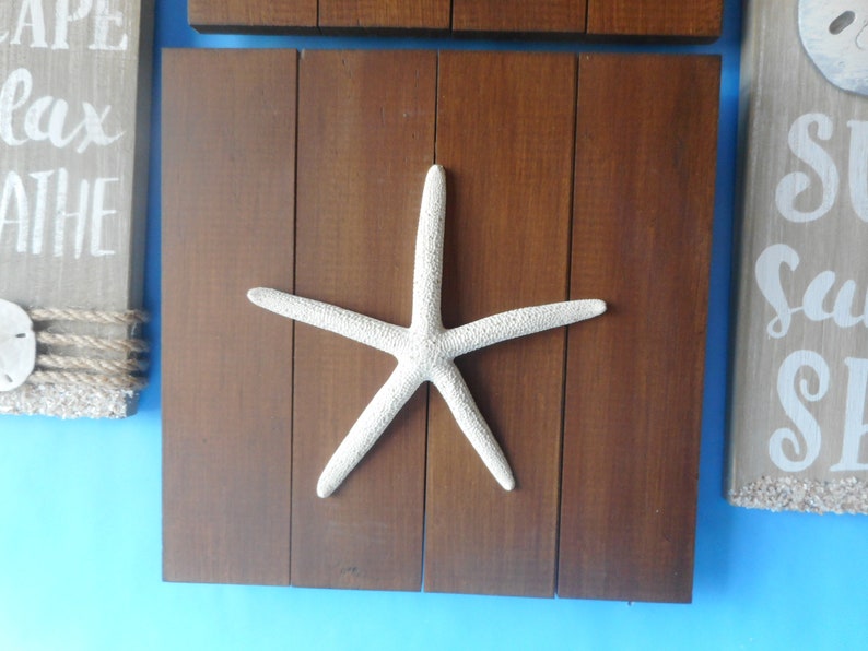 Sea Shell Wood Wall Plaque Sign-sea Shell Wall Art-coastal | Etsy