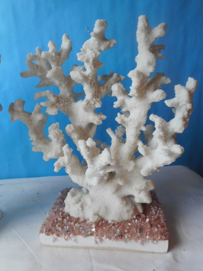 Coral Table Arrangement Decor SeaShell Art-Coastal Beach | Etsy