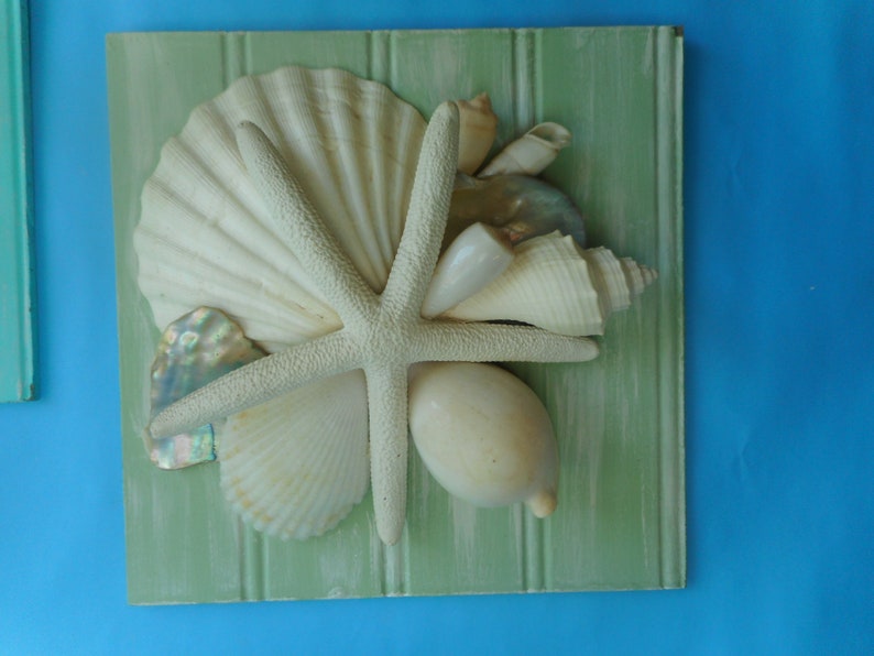 Sea Shell Wall Art-Sea Shell Wall Plaque Beach Wall | Etsy
