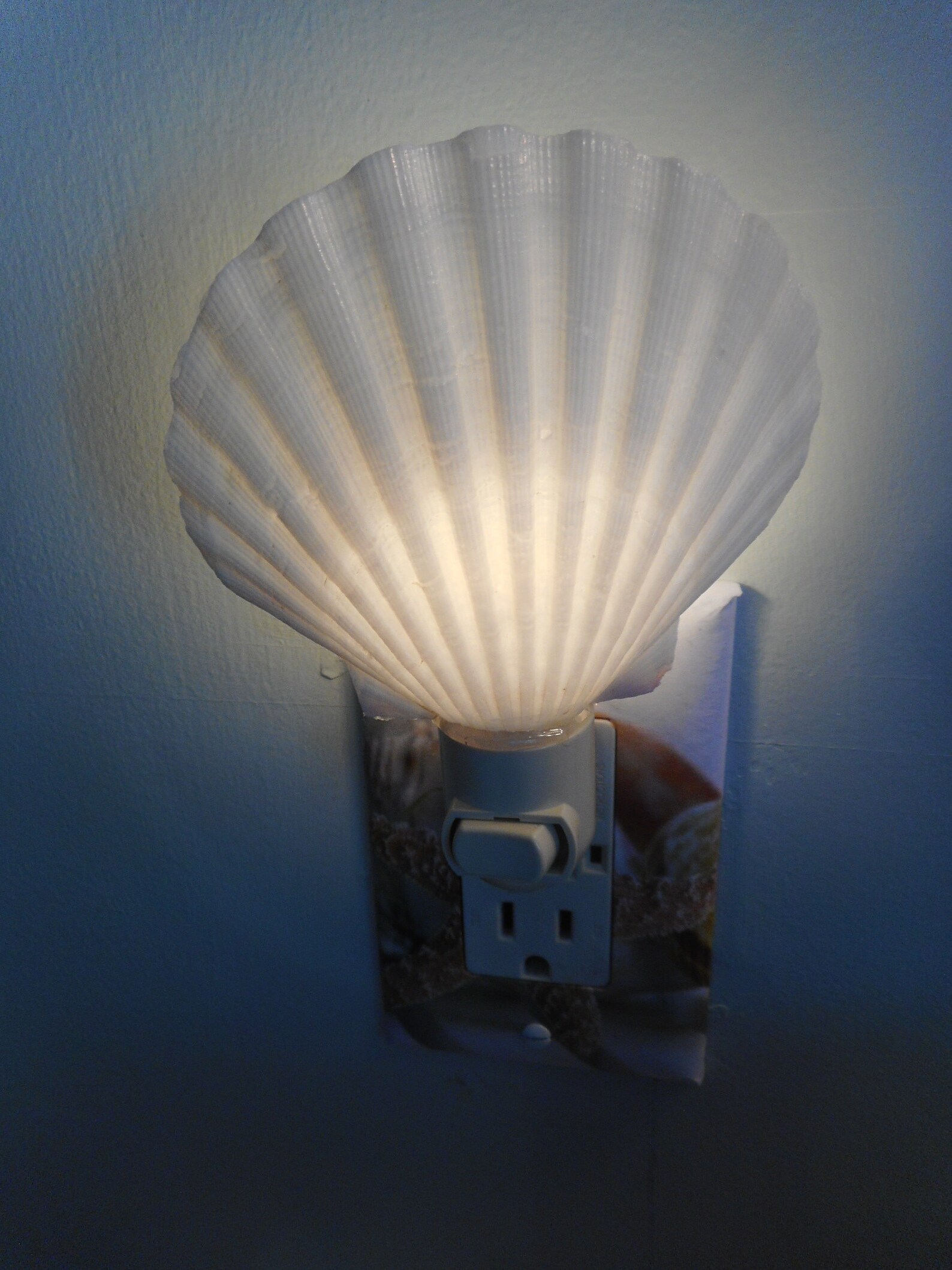 Sea Shell Night Lights-Coastal Beach Lighting-Seashell Art | Etsy