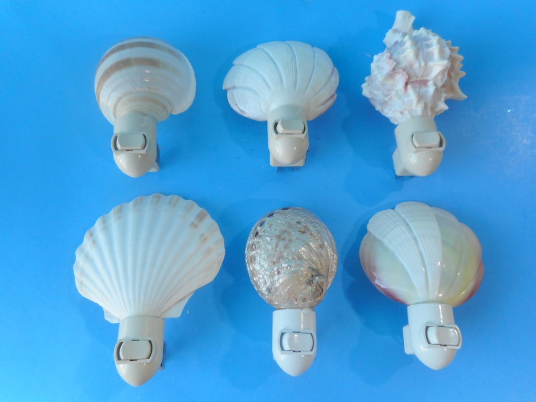 Sea Shell Night Lights-coastal Beach Lighting-seashell Art - Etsy