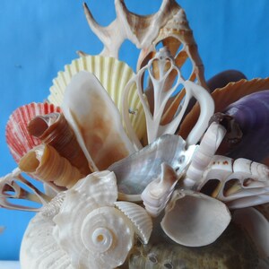 Coral Table Arrangement Decor Seashell Art-coastal Beach Nautical Decor ...