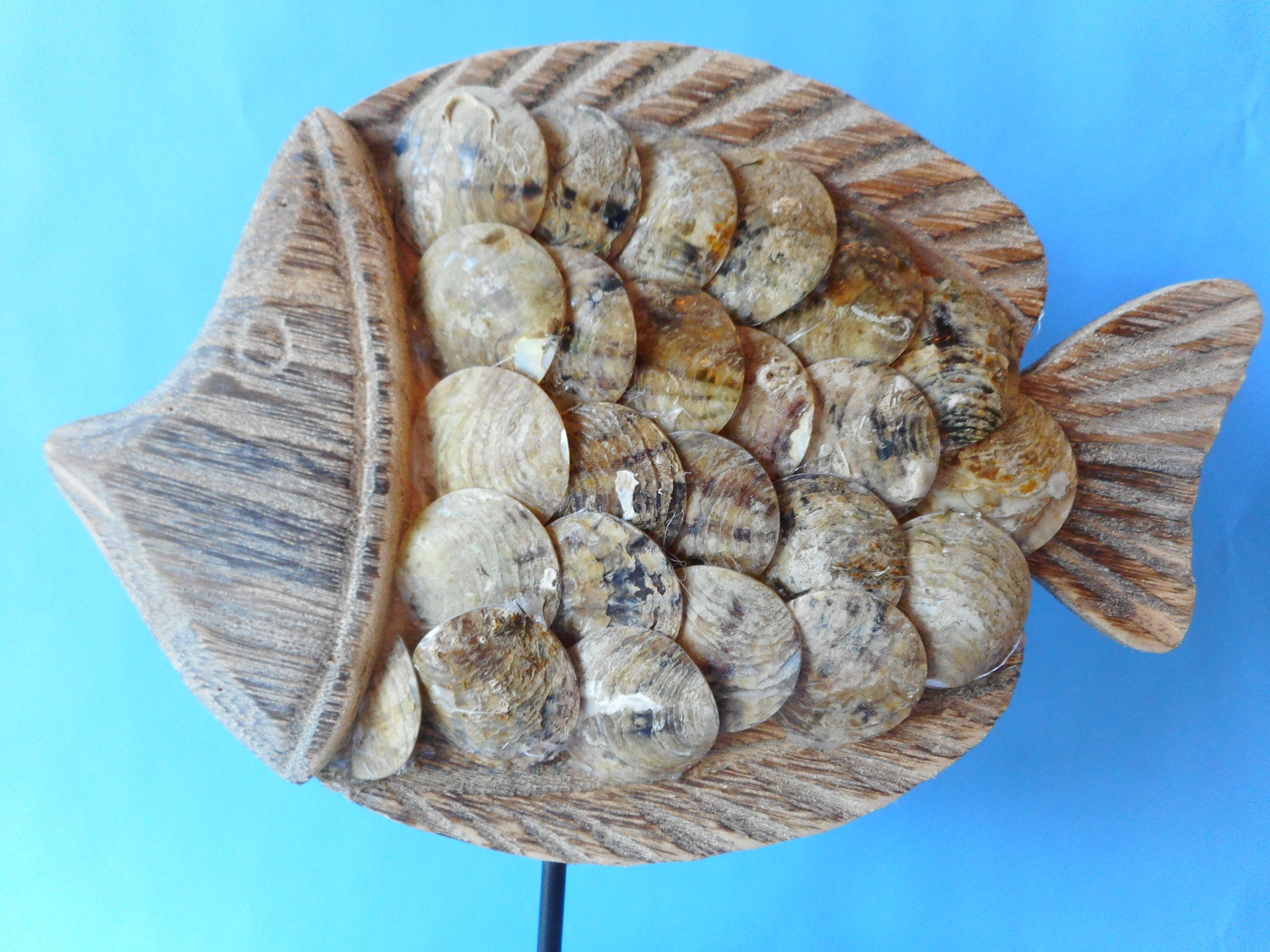 Sea Shell Wood Fish-Coastal Home Decor-Beach Decor-Sea Shell | Etsy