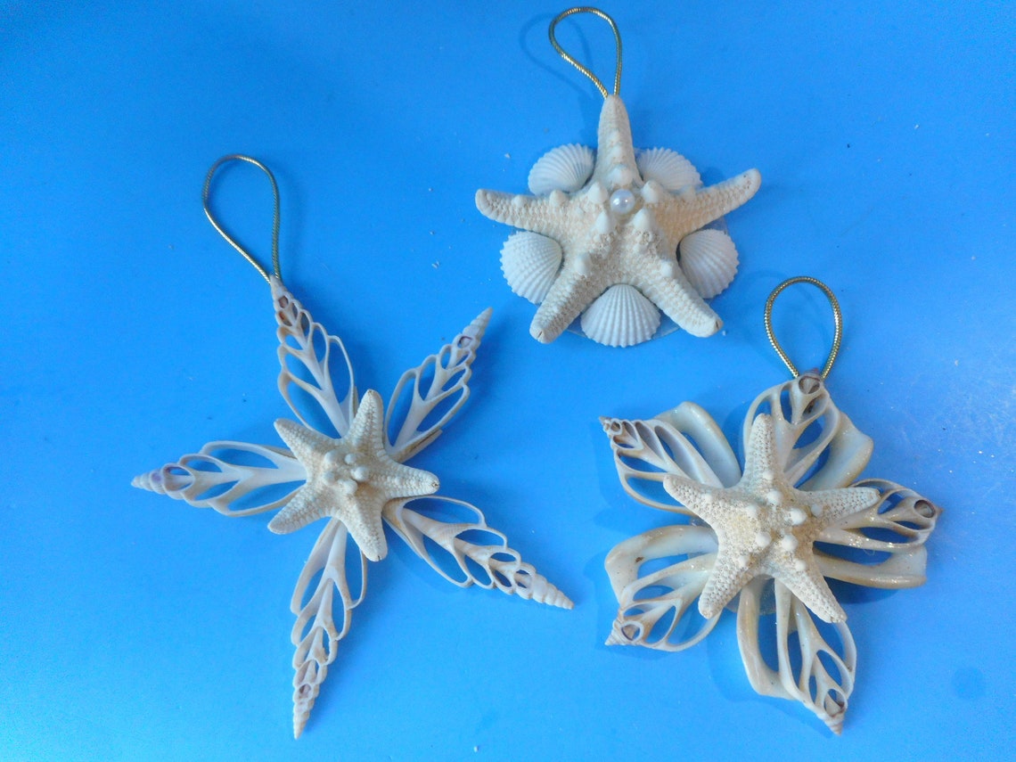 SeaShell Beach Ornaments VarietyMORE CHOICES Coastal | Etsy