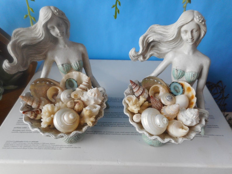 Sea Shell Mermaid Mermaid Art Mermaid With Shells-mermaid | Etsy