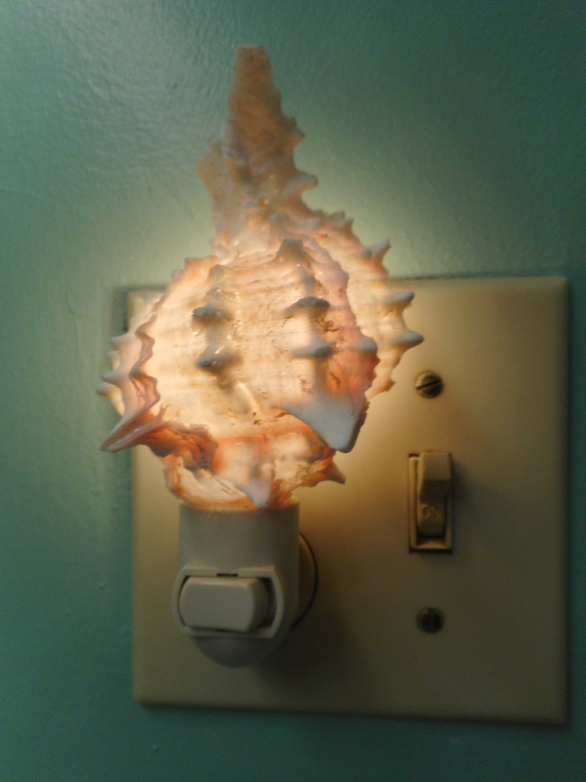 Sea Shell Night Lights-Coastal Beach Lighting-Seashell Art | Etsy