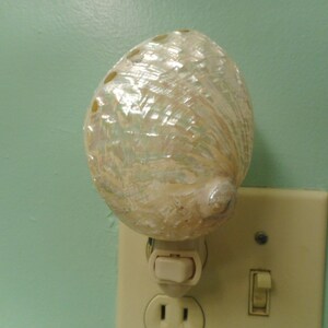 Sea Shell Night Lights-coastal Beach Lighting-seashell Art - Etsy