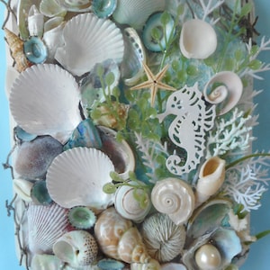 Beach Wall Hanging With Shells-sea Shell Wall Art-sea Shell Wall Plaque ...