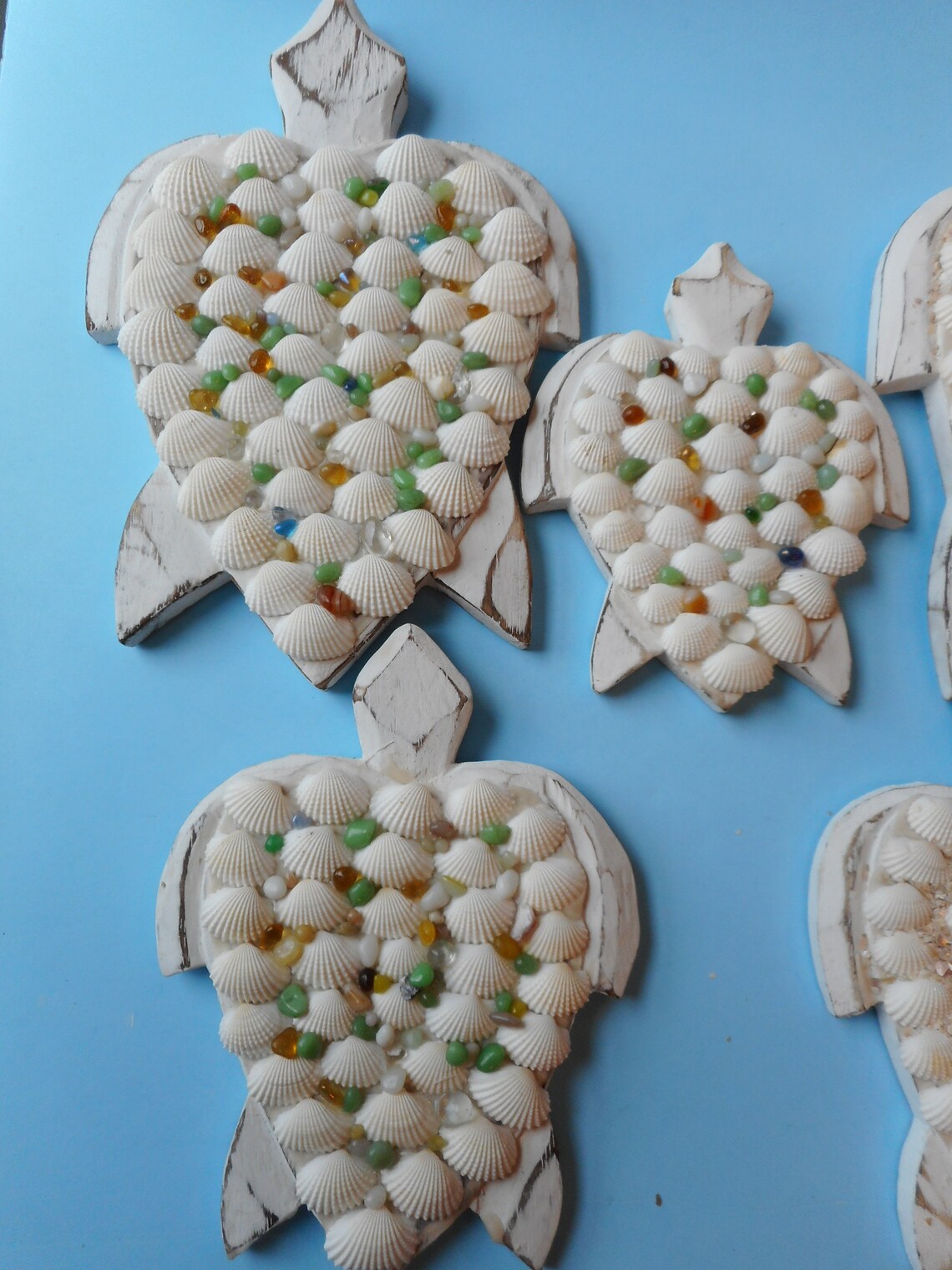 Sea Shell Wall Sea Turtle-coastal Home Decor-beach - Etsy