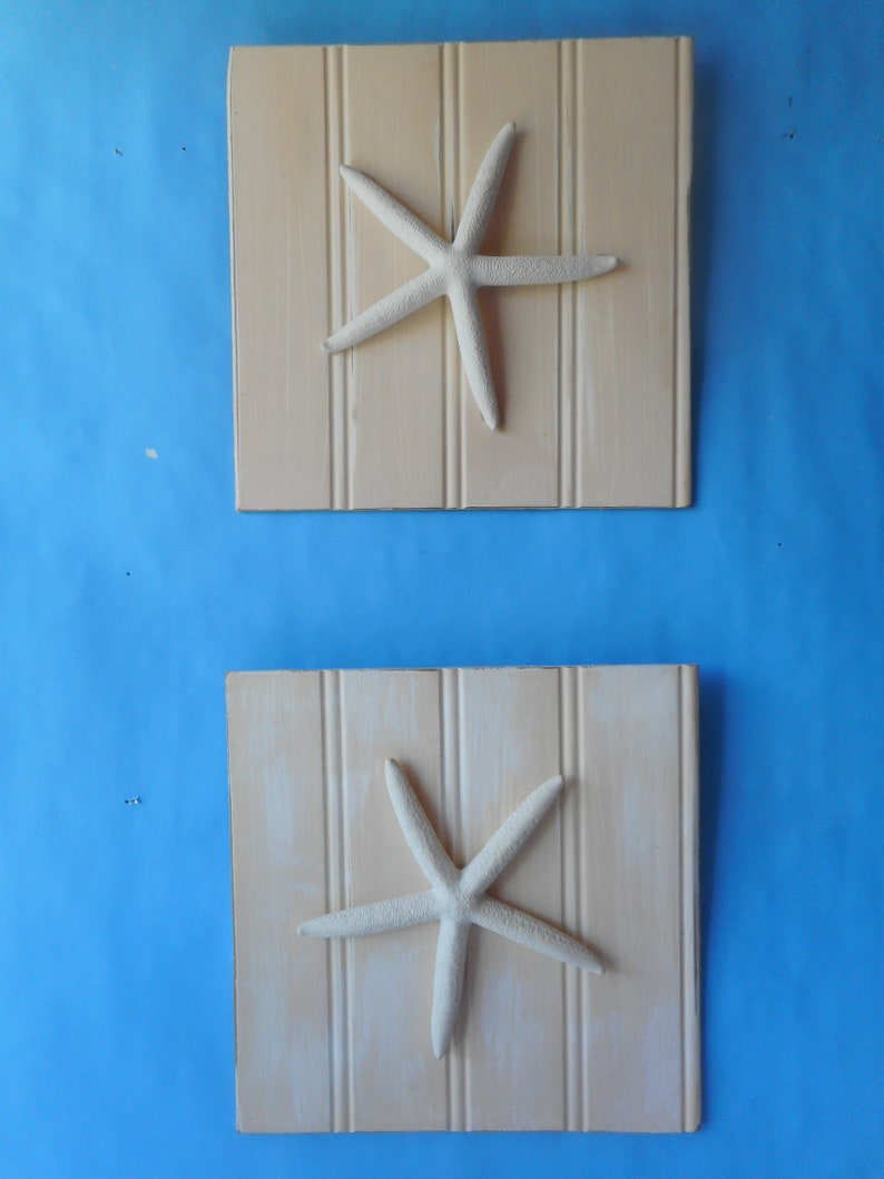 Sea Shell Wall Art-Sea Shell Wall Plaque Beach Wall | Etsy