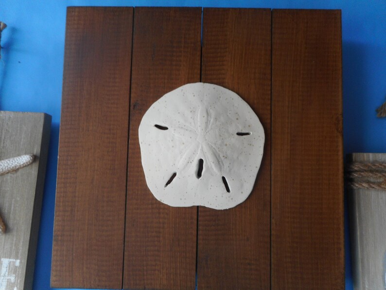 Sea Shell Wood Wall Plaque Sign-sea Shell Wall Art-coastal | Etsy