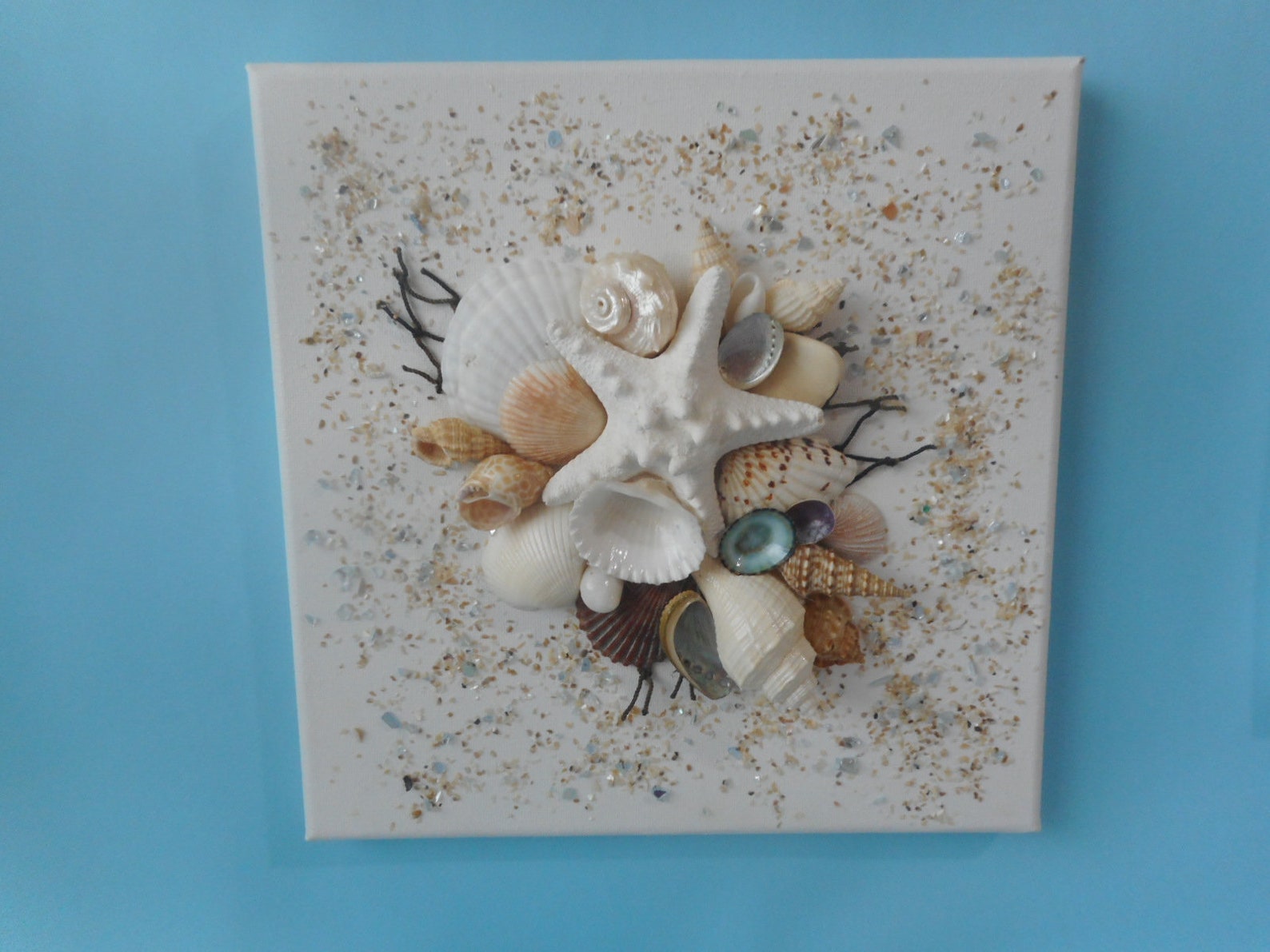 Seashell Beach Canvas Wall Art - Coastal Nautical Beach Home Decor - Etsy
