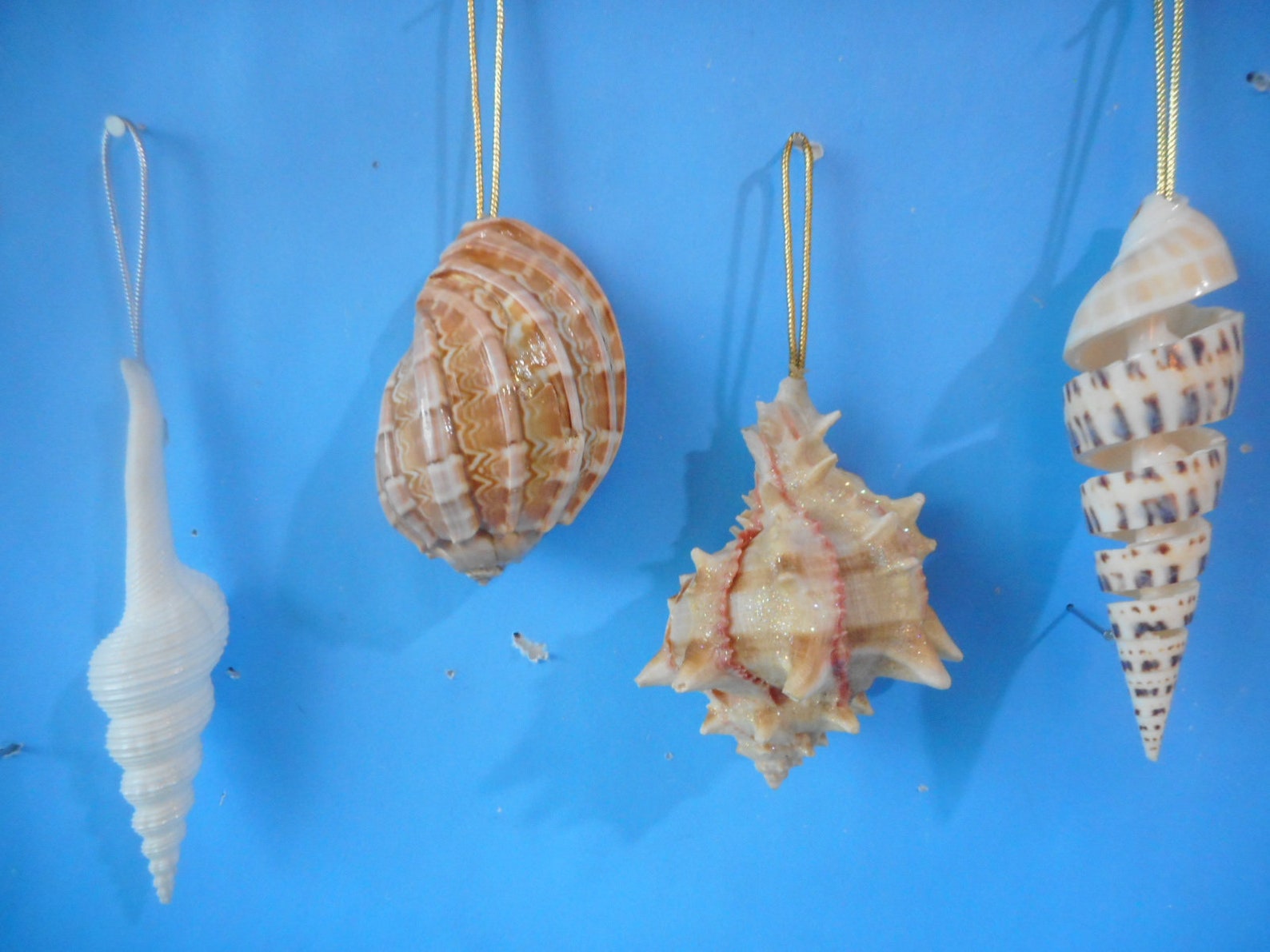 Tropical Seashell Ornaments-coastal Home Decor - Etsy
