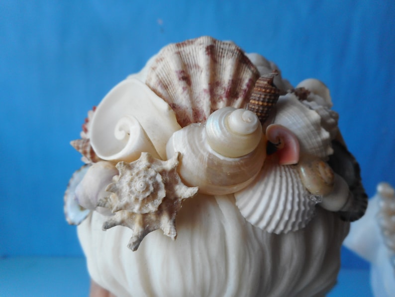 Seashell Art Bust Sculpture coastal Home Decor - Etsy