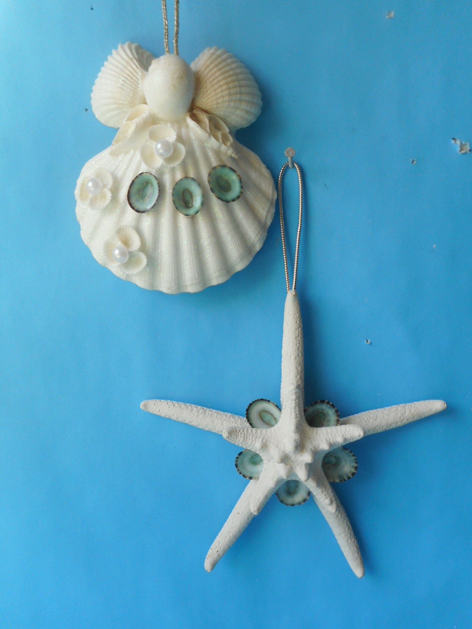 Seashell Ornaments-more Choices coastal Beach Christmas | Etsy