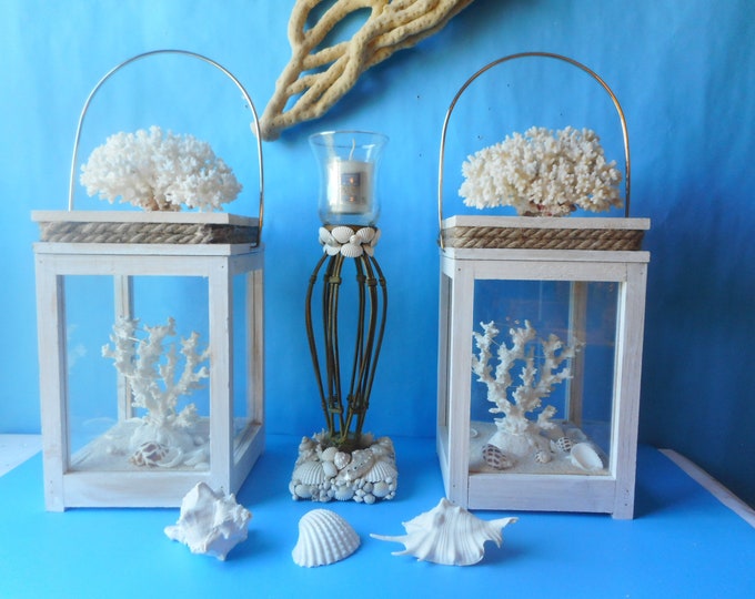 Coastal Beach House Nautical Seashell Lantern seashell Arrangement - Etsy