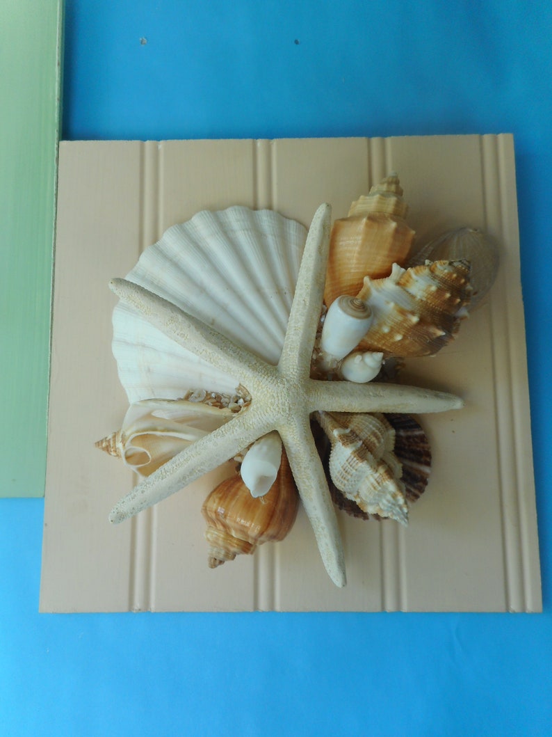 Sea Shell Wall Art-Sea Shell Wall Plaque Beach Wall | Etsy