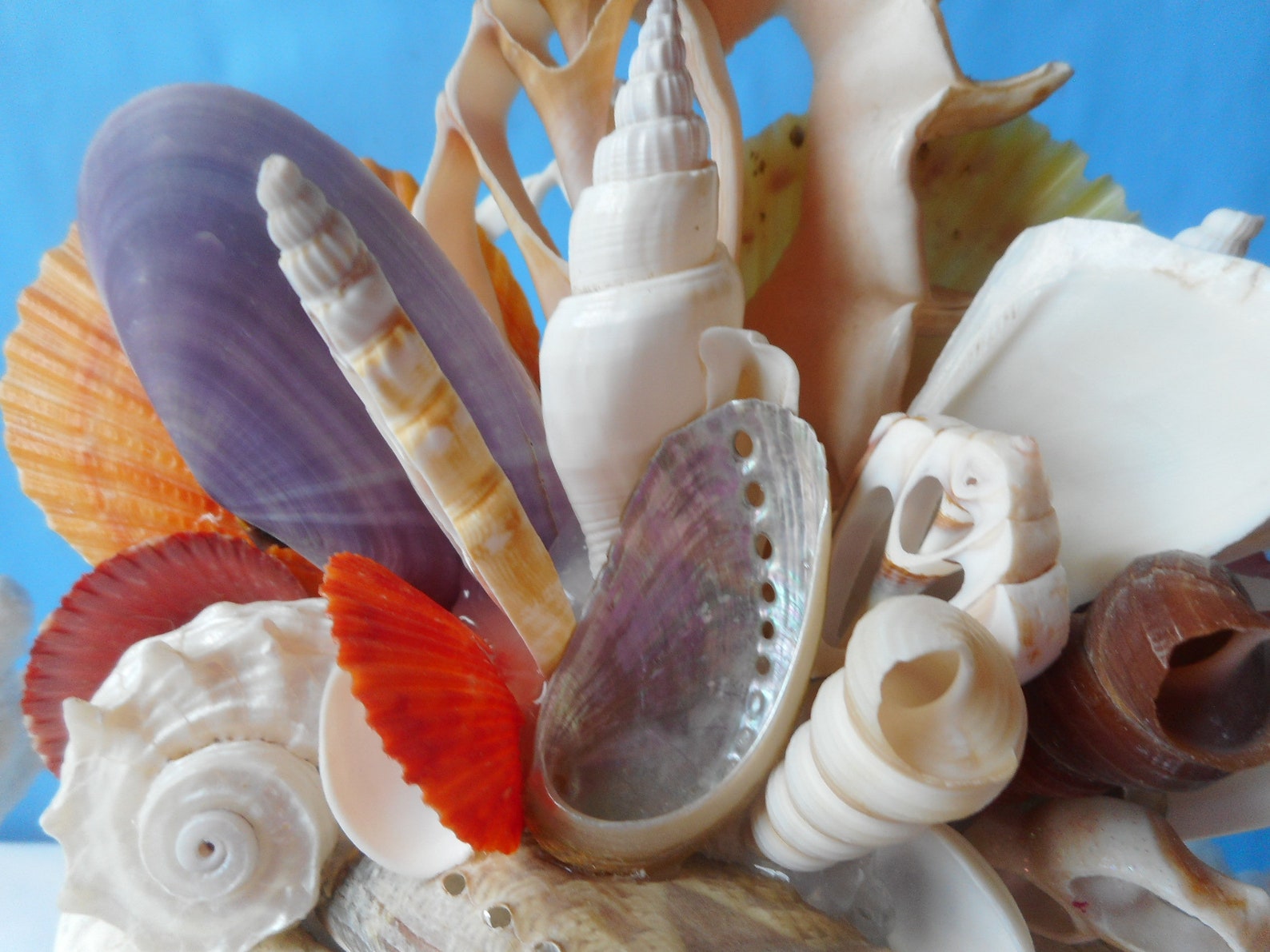 Coral Table Arrangement Decor Seashell Art-coastal Beach - Etsy