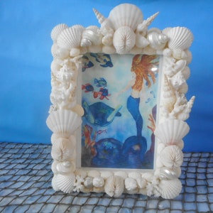 Seashell Picture Frame-beach Frame-shell Photo Frame-coastal Decor - Etsy