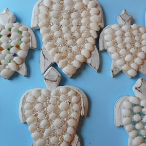 Sea Shell Wall Sea Turtle-coastal Home Decor-beach Decor-turtle-shell ...