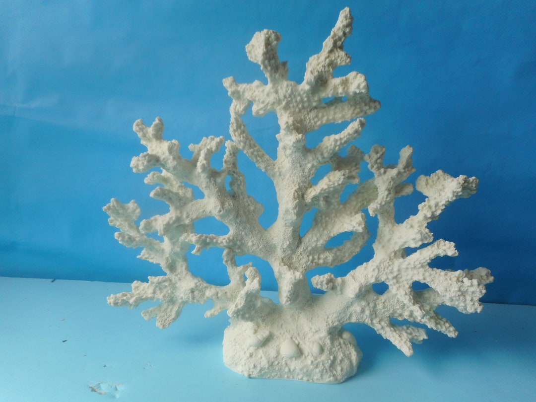 Coral Table Arrangement Decor Seashell Art-coastal Beach Nautical Decor ...