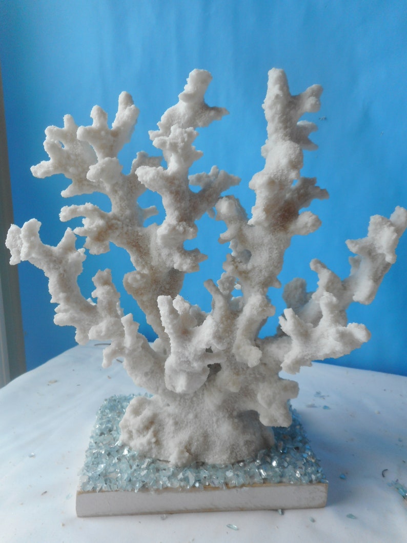 Coral Table Arrangement Decor SeaShell Art-Coastal Beach | Etsy