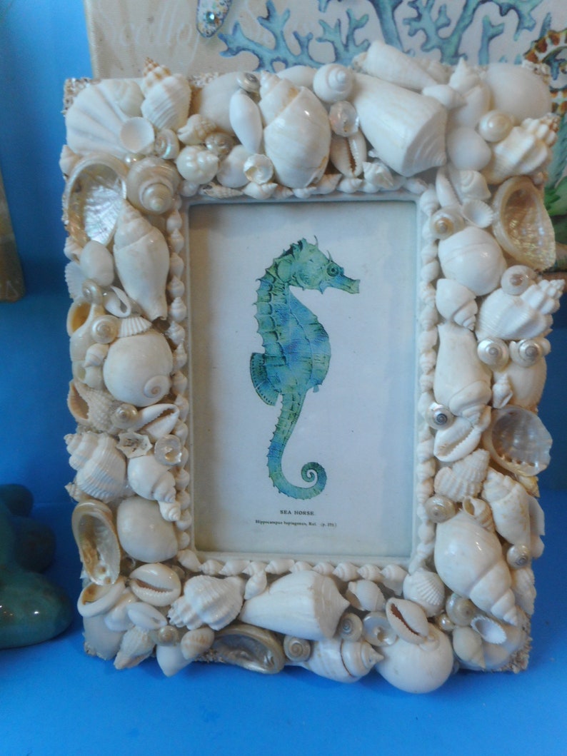 Seashell Picture Frame-beach Frame-shell Photo Frame-coastal - Etsy