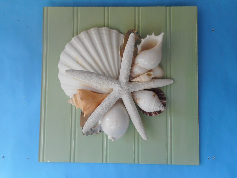 Sea Shell Wall Art-sea Shell Wall Plaque Beach Wall - Etsy